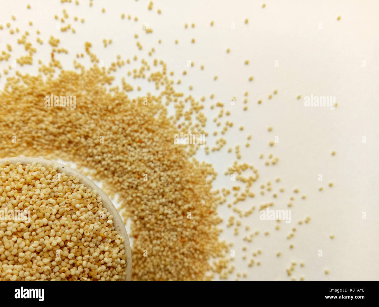 Actual Size Of Poppy Seed at Jackson James blog