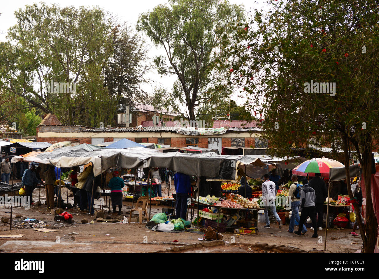South africa gauteng alexandra township hi-res stock photography and ...