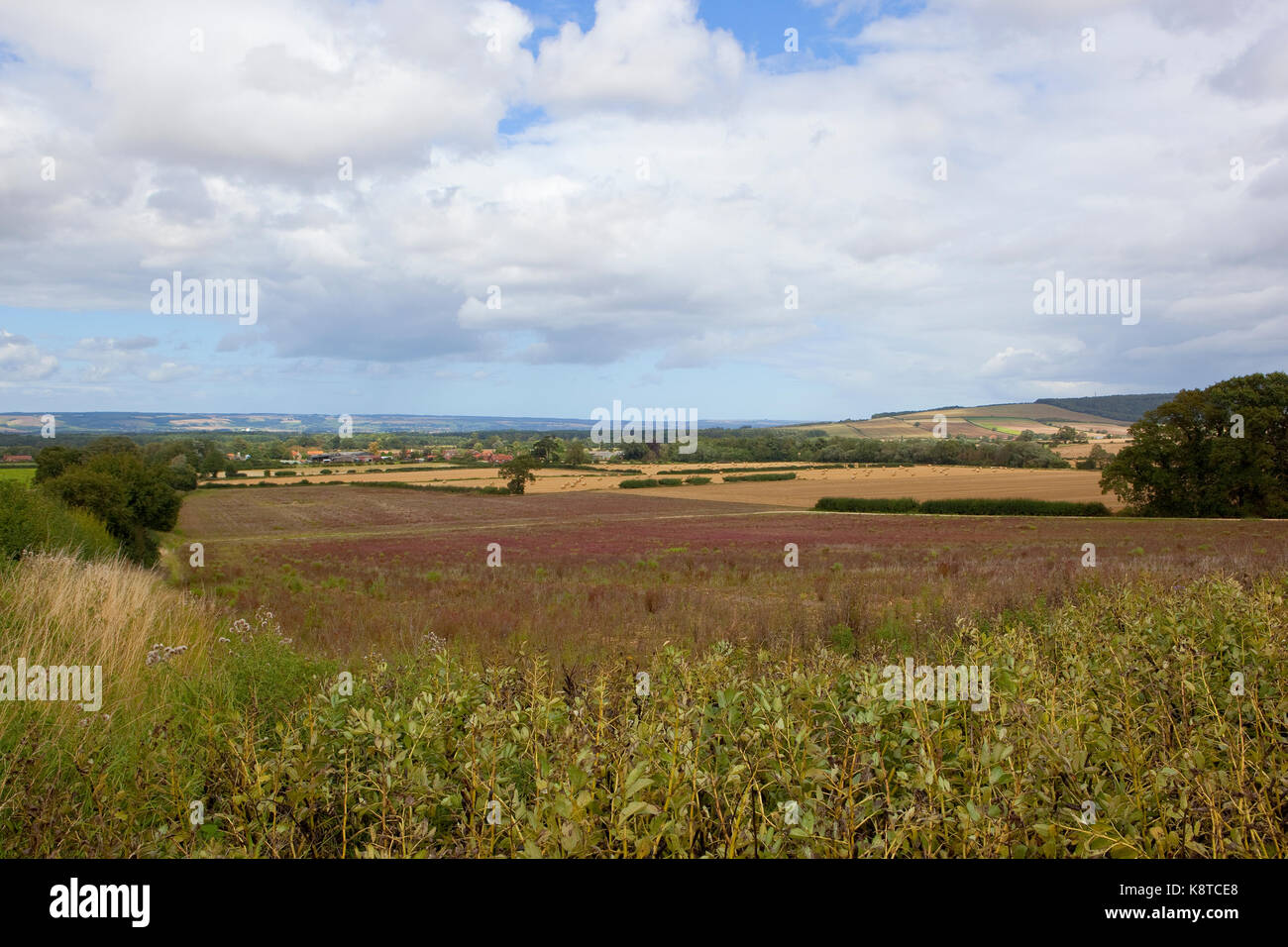 a scenic agricultural landscape in the yorkshire wolds with a village ...
