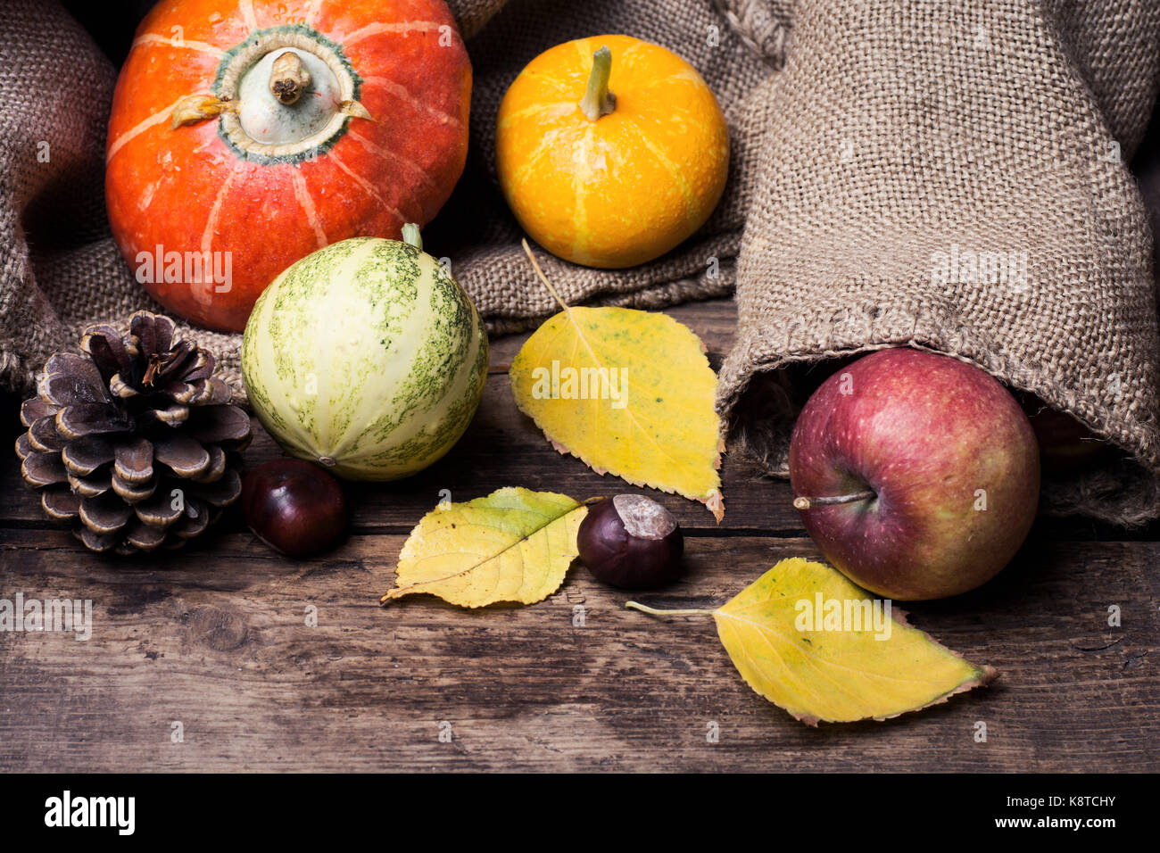 Autumn apples, pumpkins, chestnuts and acorns on a retro background ...
