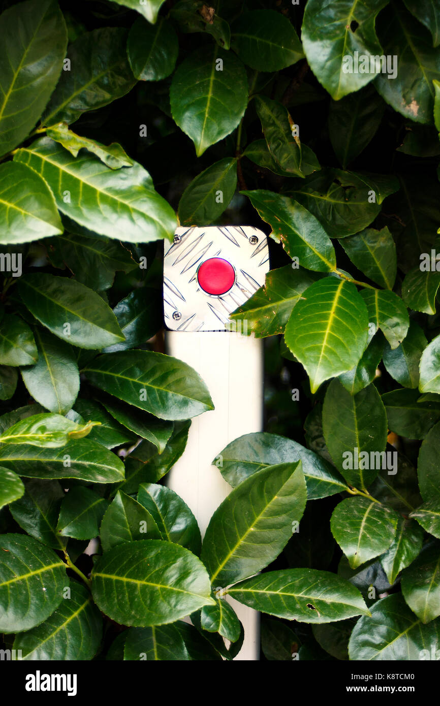 metal red button surrounded by green leaves Stock Photo - Alamy
