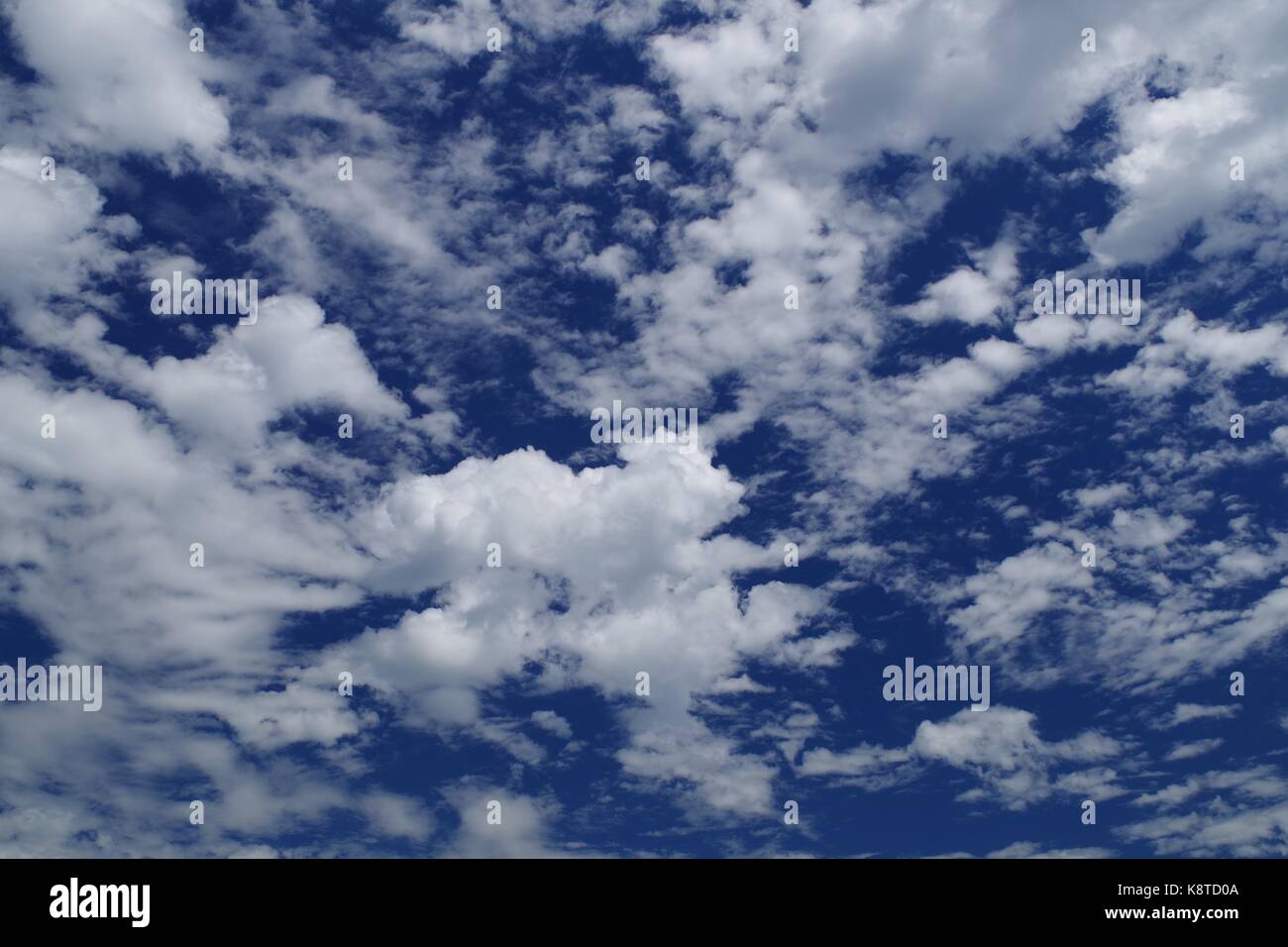 A Polarised Photo of Cumulus and Altocumulus Fair Weather Clouds on a ...