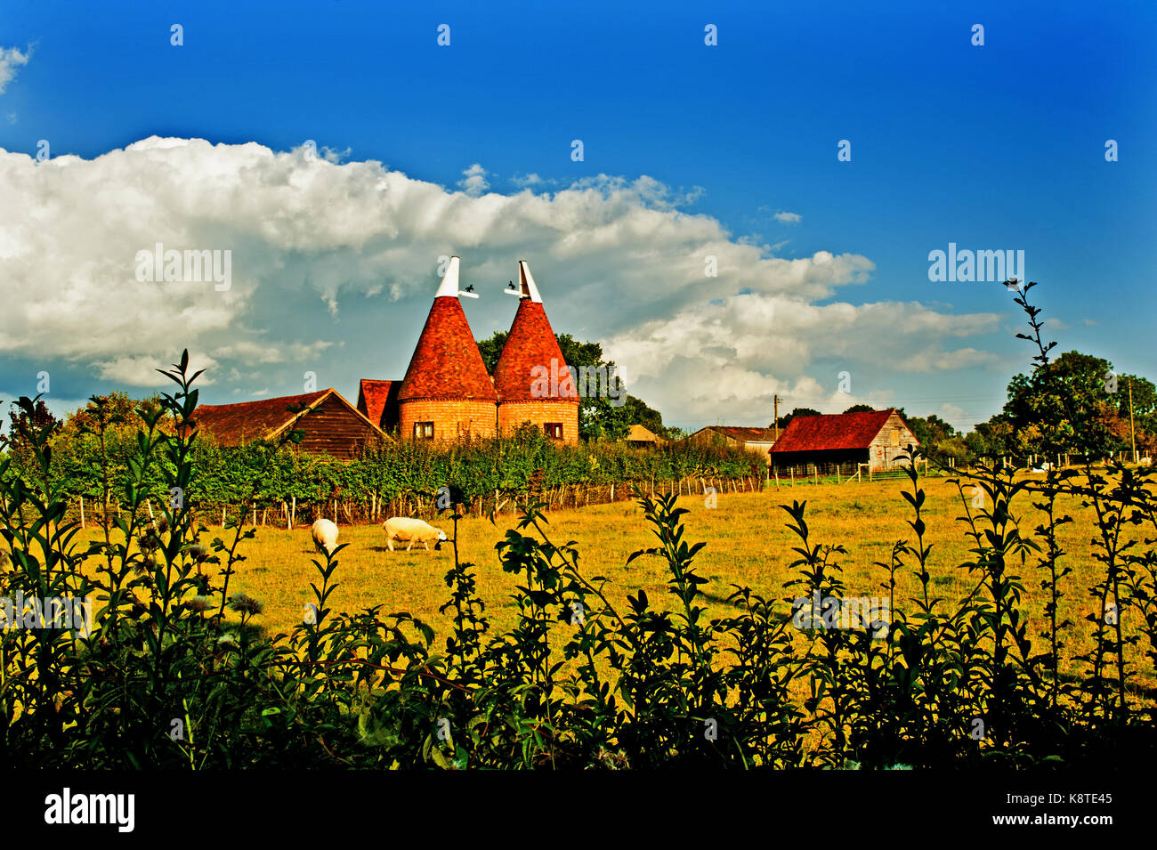 Oast Houses, Sissinghurst, Kent Stock Photo - Alamy