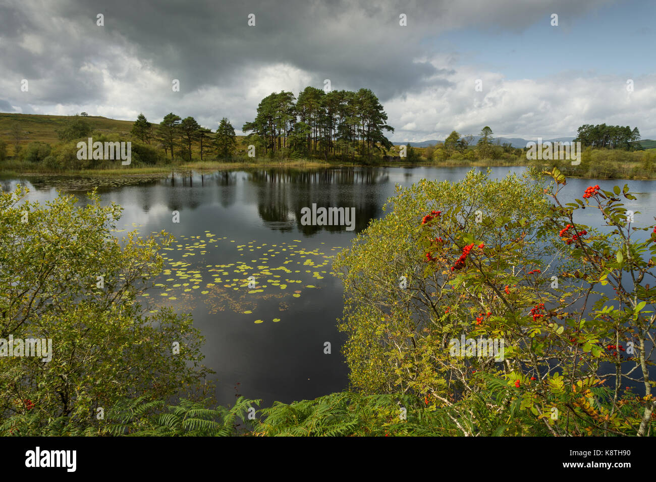 Scottish Wildlife Trust Knowetop Lochs Reserve in Galloway Southwest ...