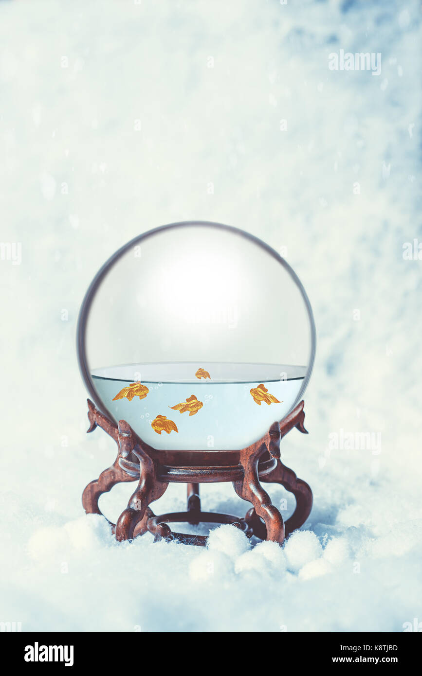 Globe fish hi-res stock photography and images - Alamy