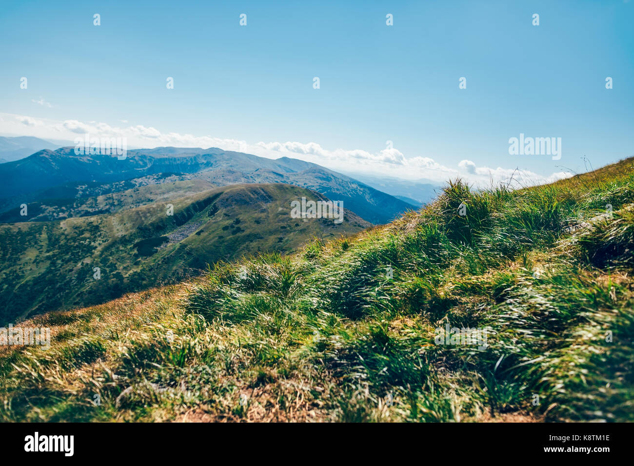 Beautiful green mountain landscape. Nature background Stock Photo - Alamy