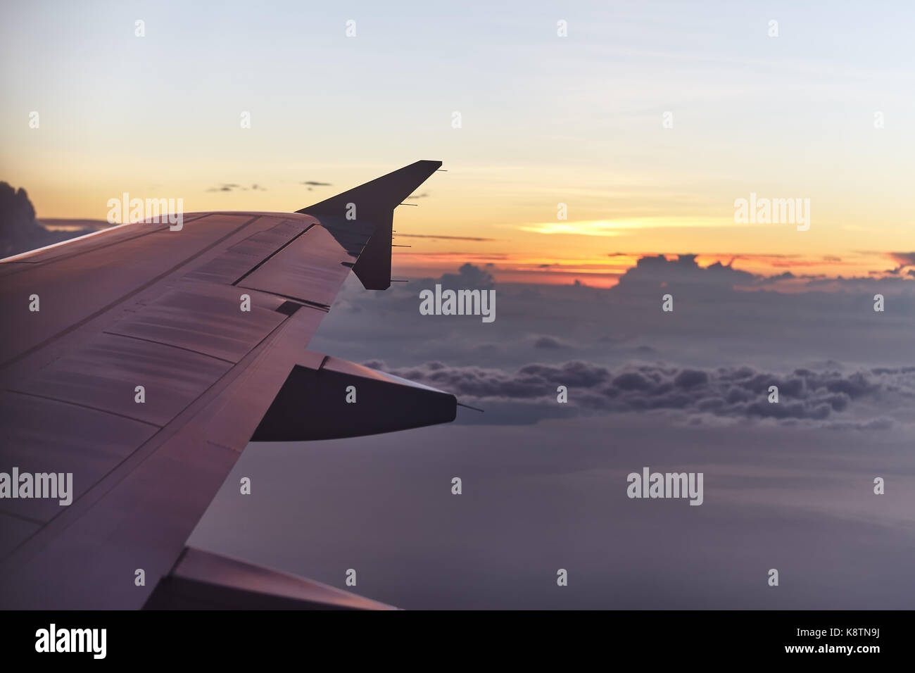 flying aircraft wing on beautiful sunset. Travel concept Stock Photo ...