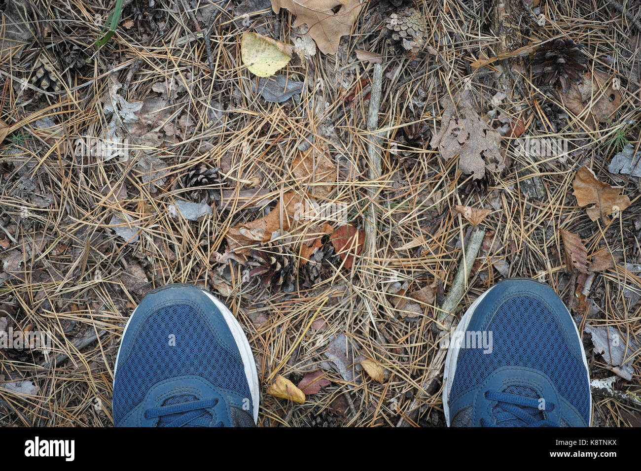 Feet in sport shoes standing on the ground in forest. Close up Stock ...