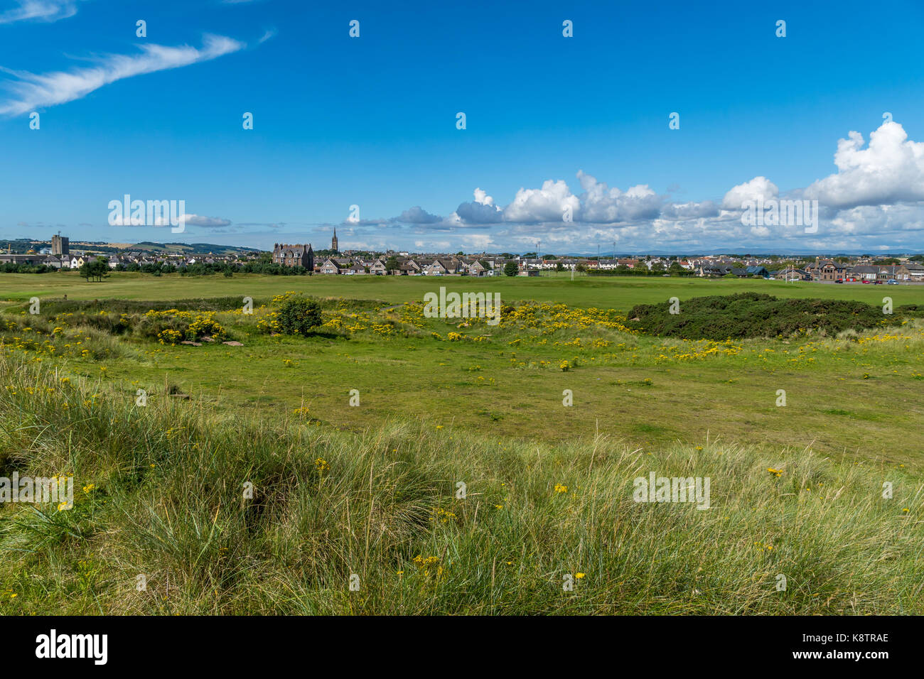 Montrose scotland town hi-res stock photography and images - Alamy