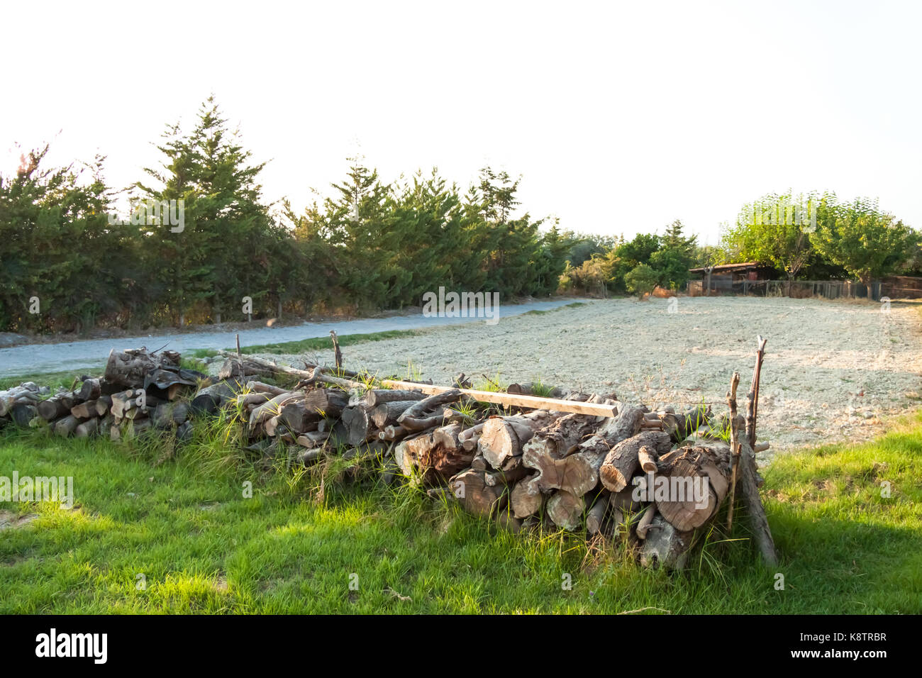 Wooden pile natural logs hi-res stock photography and images - Alamy