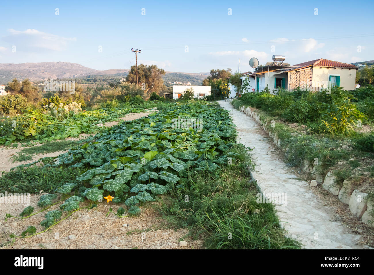 Farm cultivation hi-res stock photography and images - Alamy