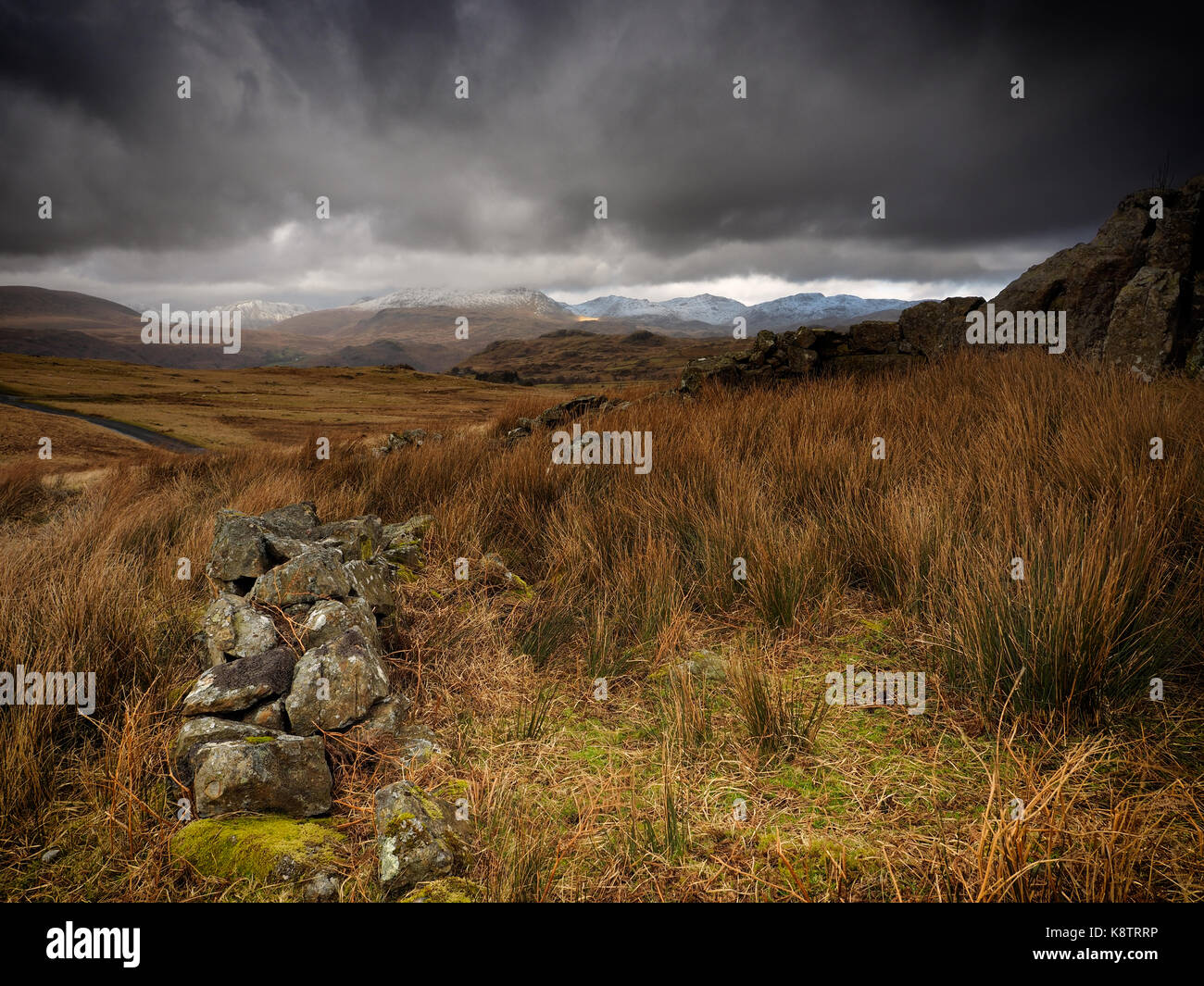 Stop i want to get off hi-res stock photography and images - Alamy