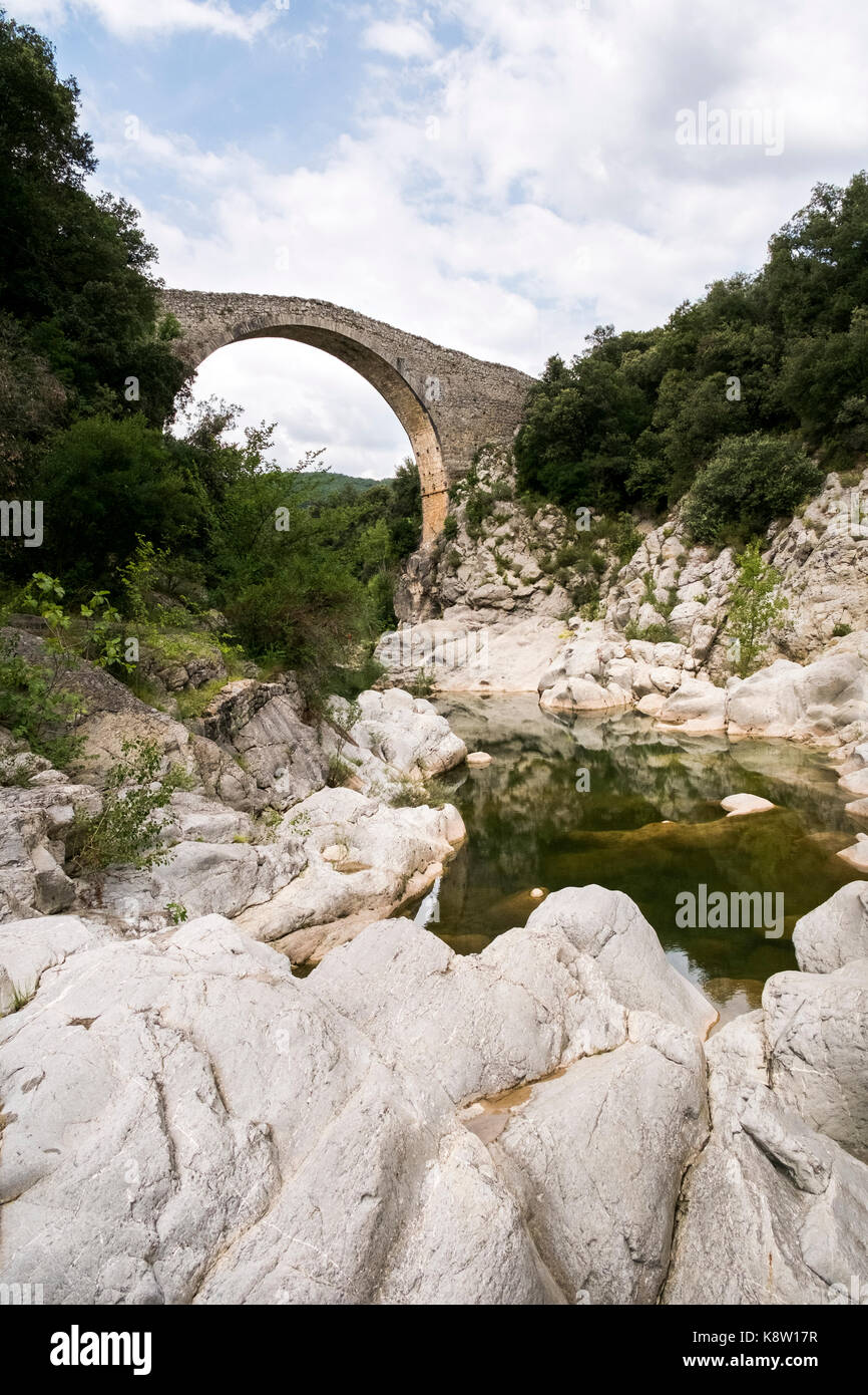 Tortella hi-res stock photography and images - Alamy