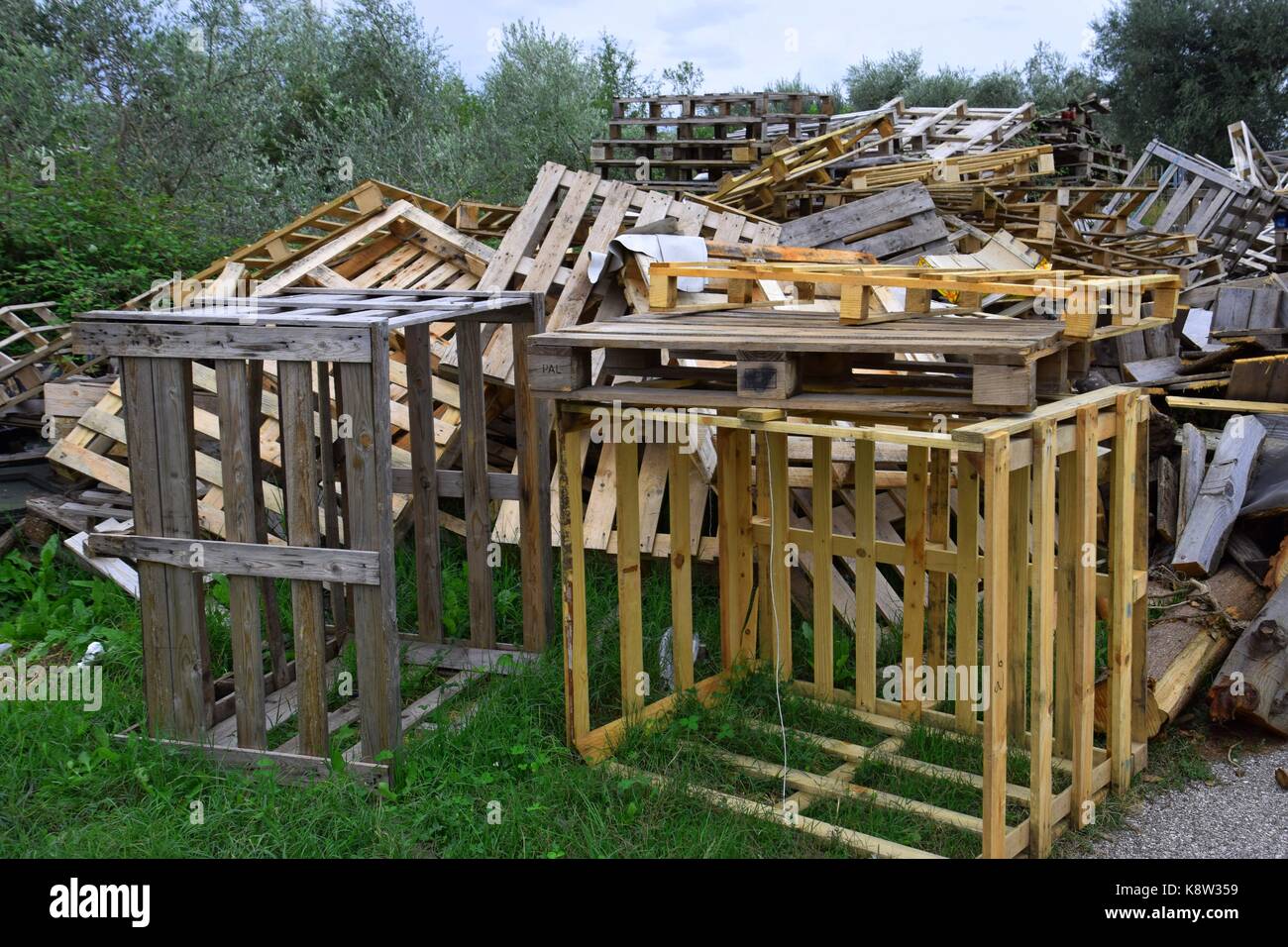 old wooden pallets and firewood, fatwood for starting a fire, tinder or ...