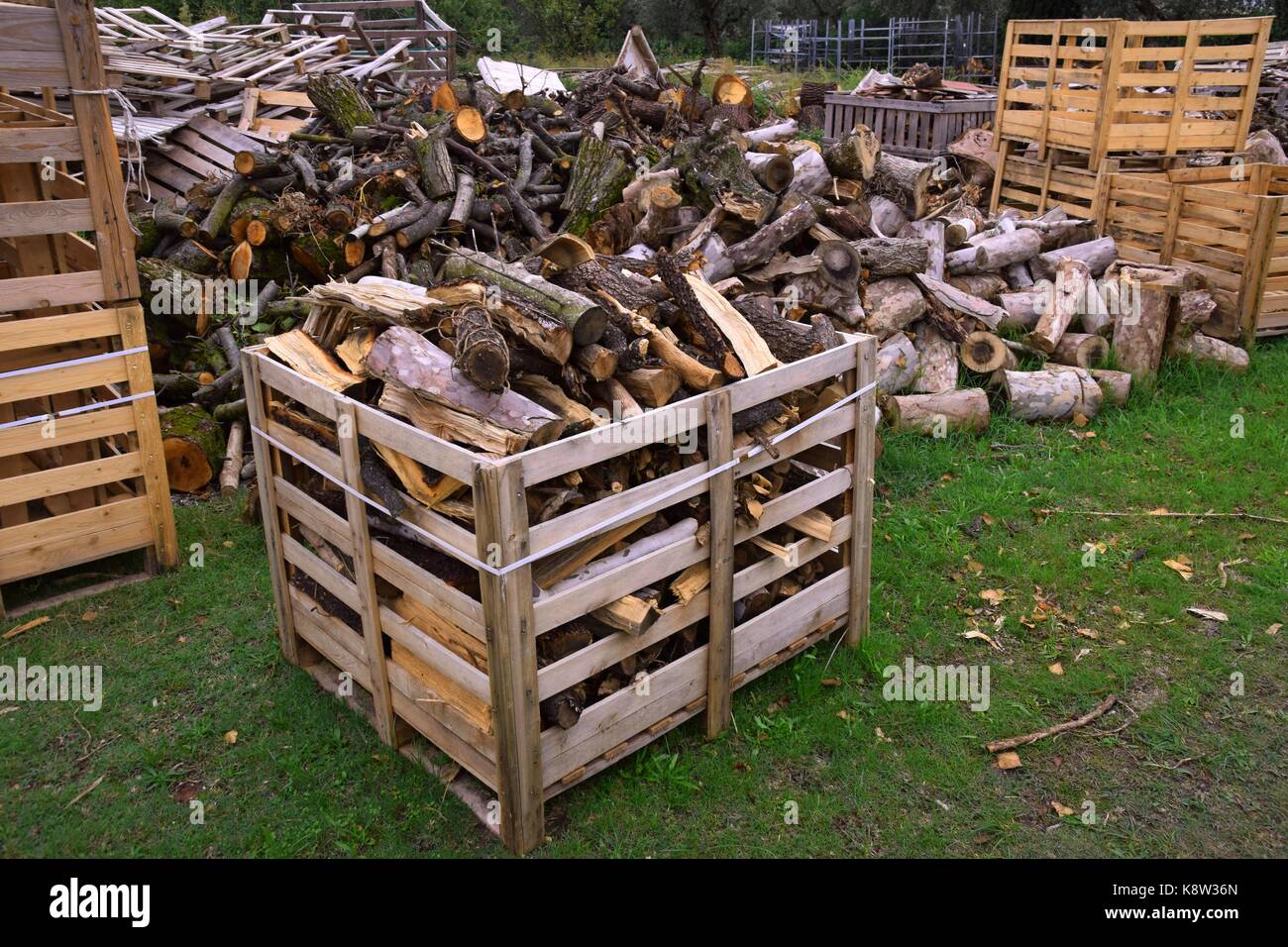 old wooden pallets and firewood, fatwood for starting a fire, tinder or ...