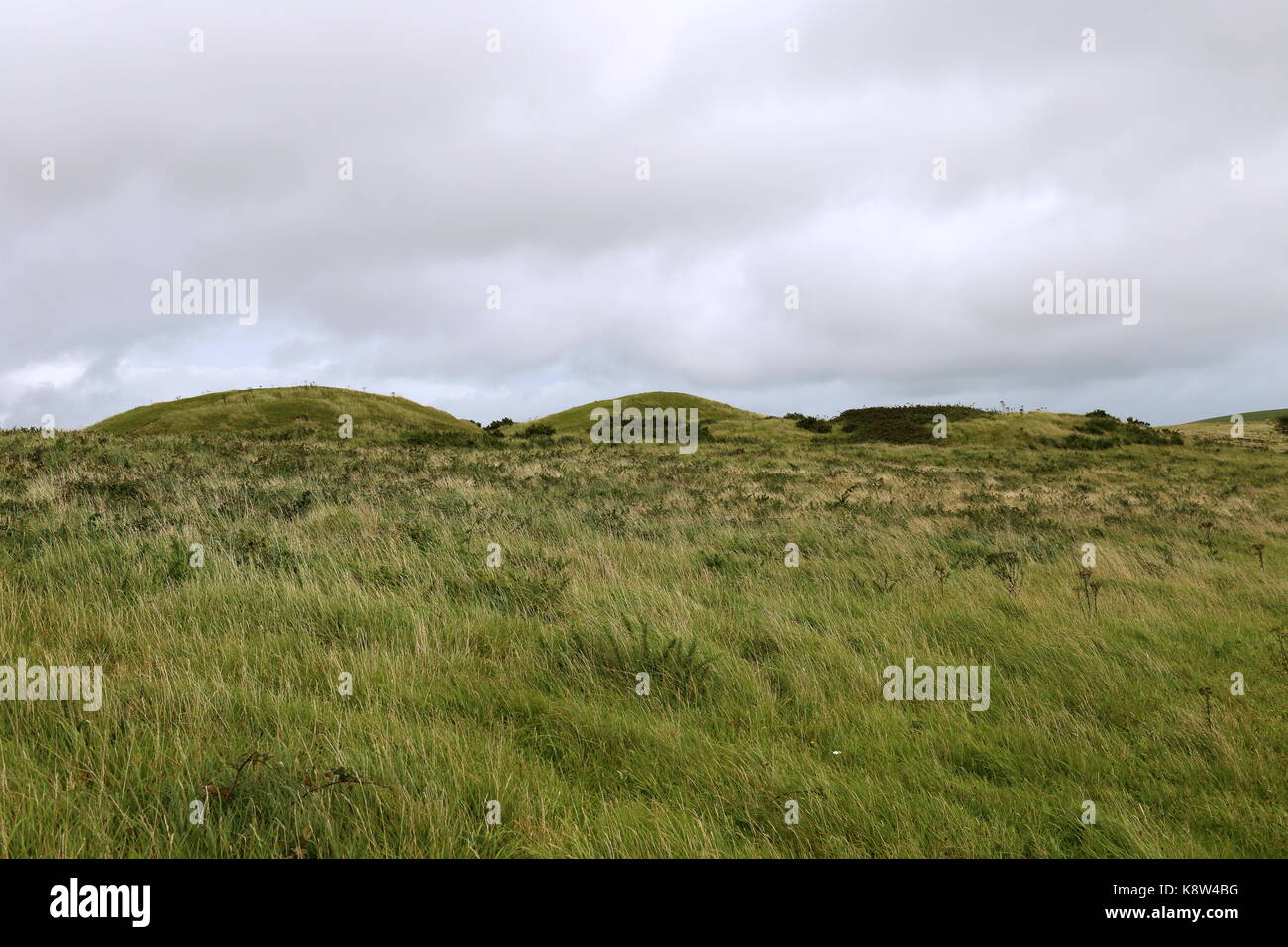 Stone age burial mounds, Nine Barrow Down, Swanage, Isle of Purbeck ...