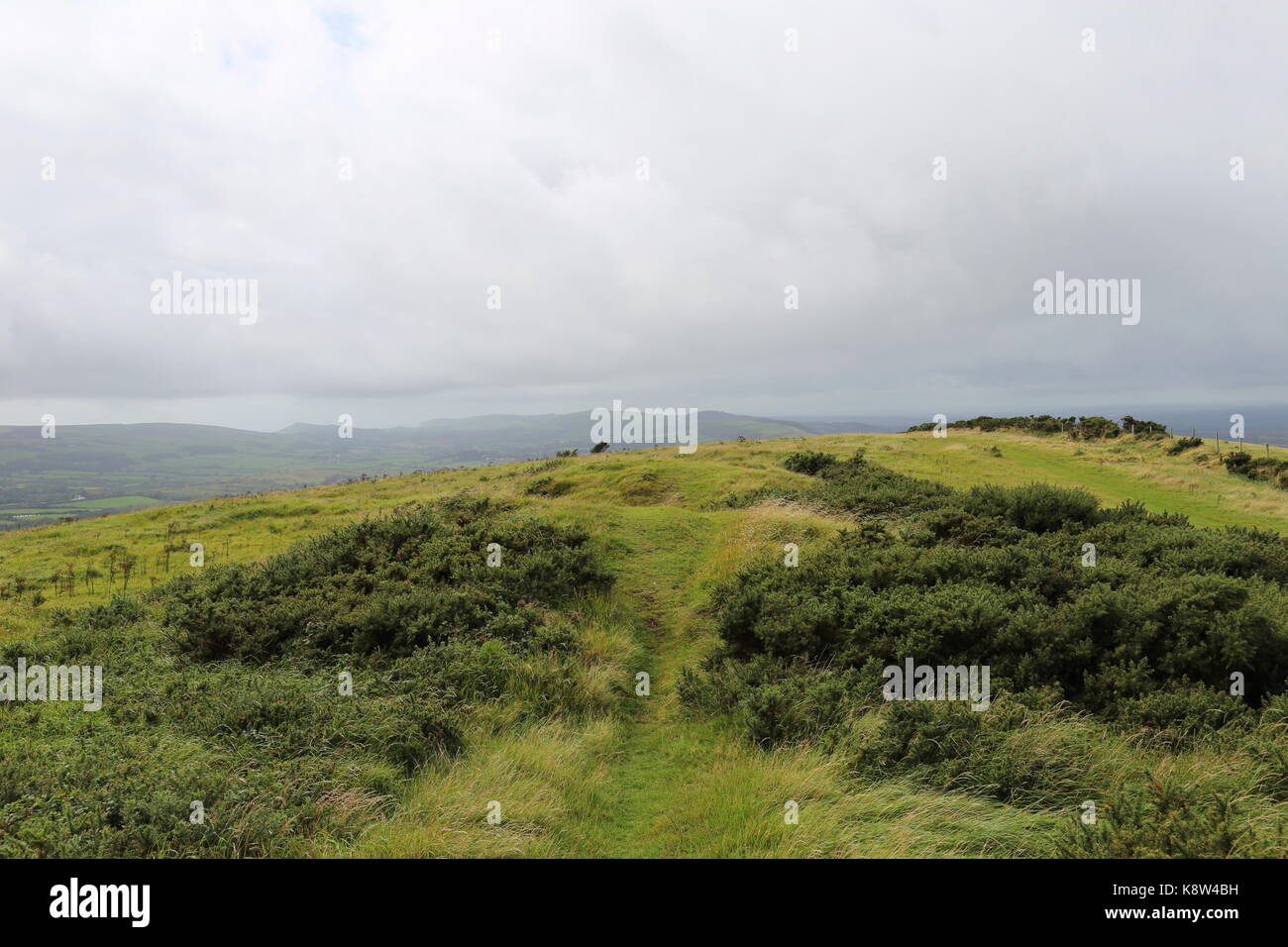 Stone age burial mounds, Nine Barrow Down, Swanage, Isle of Purbeck ...