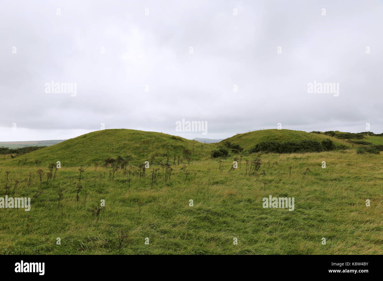 Stone age burial mounds, Nine Barrow Down, Swanage, Isle of Purbeck ...