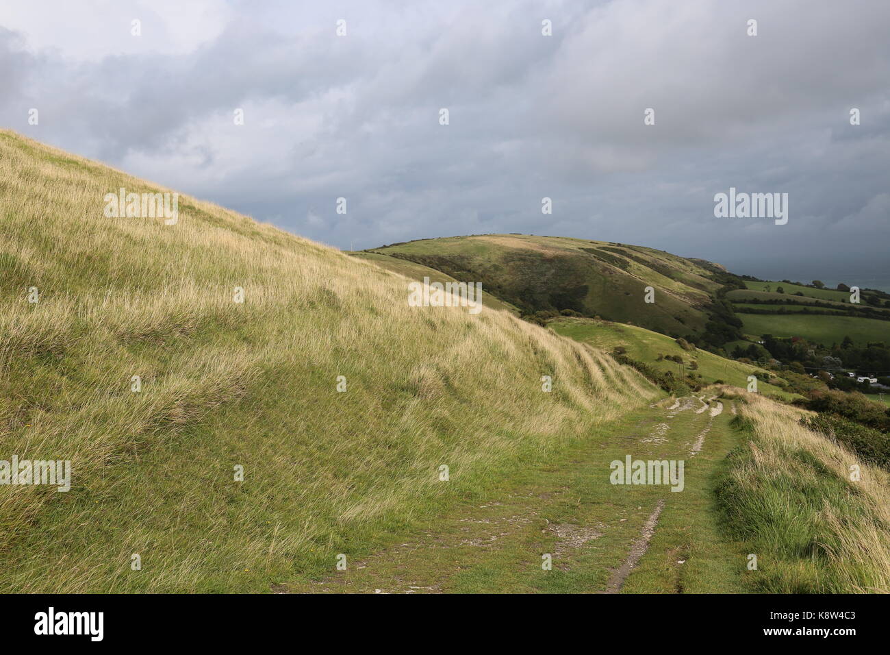 Ballard Down High Resolution Stock Photography and Images - Alamy