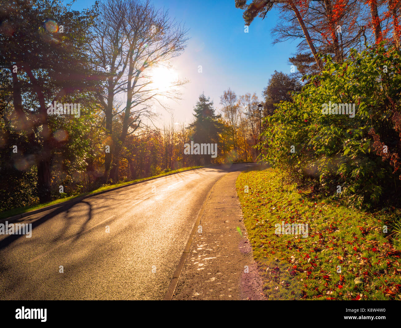 Northern Ireland countryside morning sunrise Stock Photo - Alamy