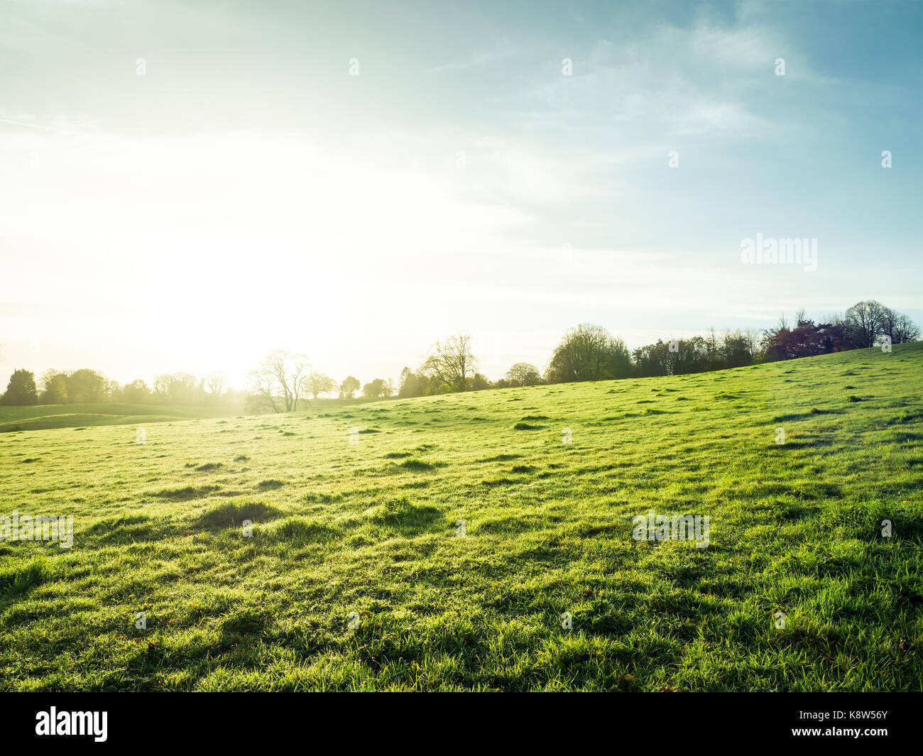 Northern Ireland countryside morning sunrise Stock Photo - Alamy