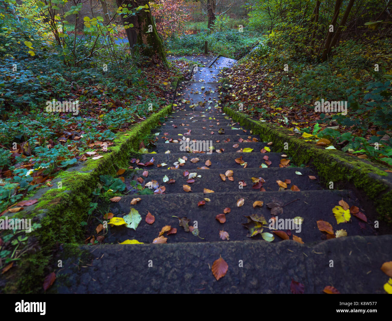 Northern Ireland countryside morning sunrise Stock Photo - Alamy