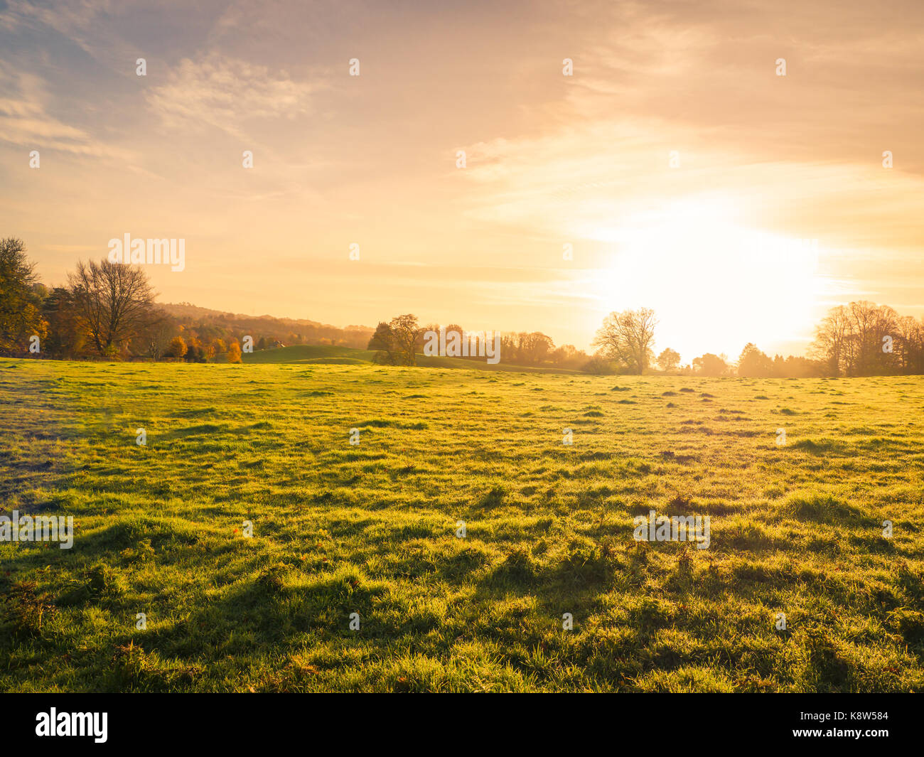 Northern Ireland countryside morning sunrise Stock Photo - Alamy