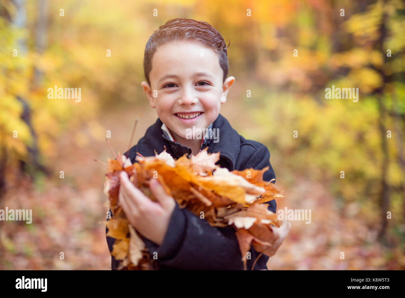 little boy in autumn october season Stock Photo - Alamy
