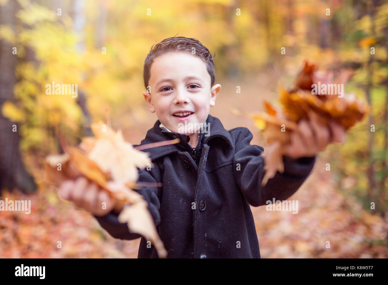little boy in autumn october season Stock Photo - Alamy