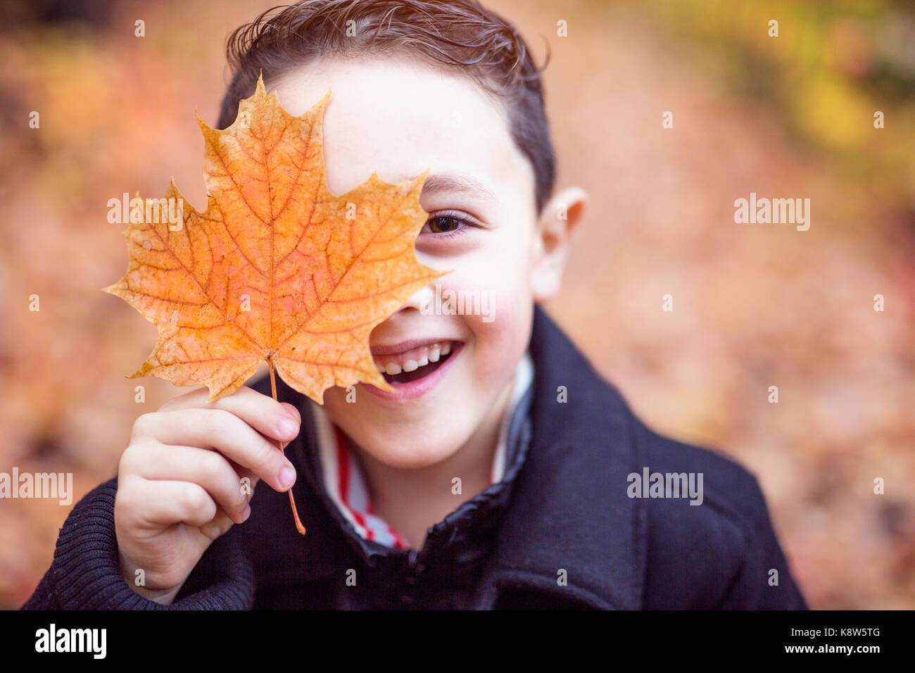 little boy in autumn october season Stock Photo - Alamy