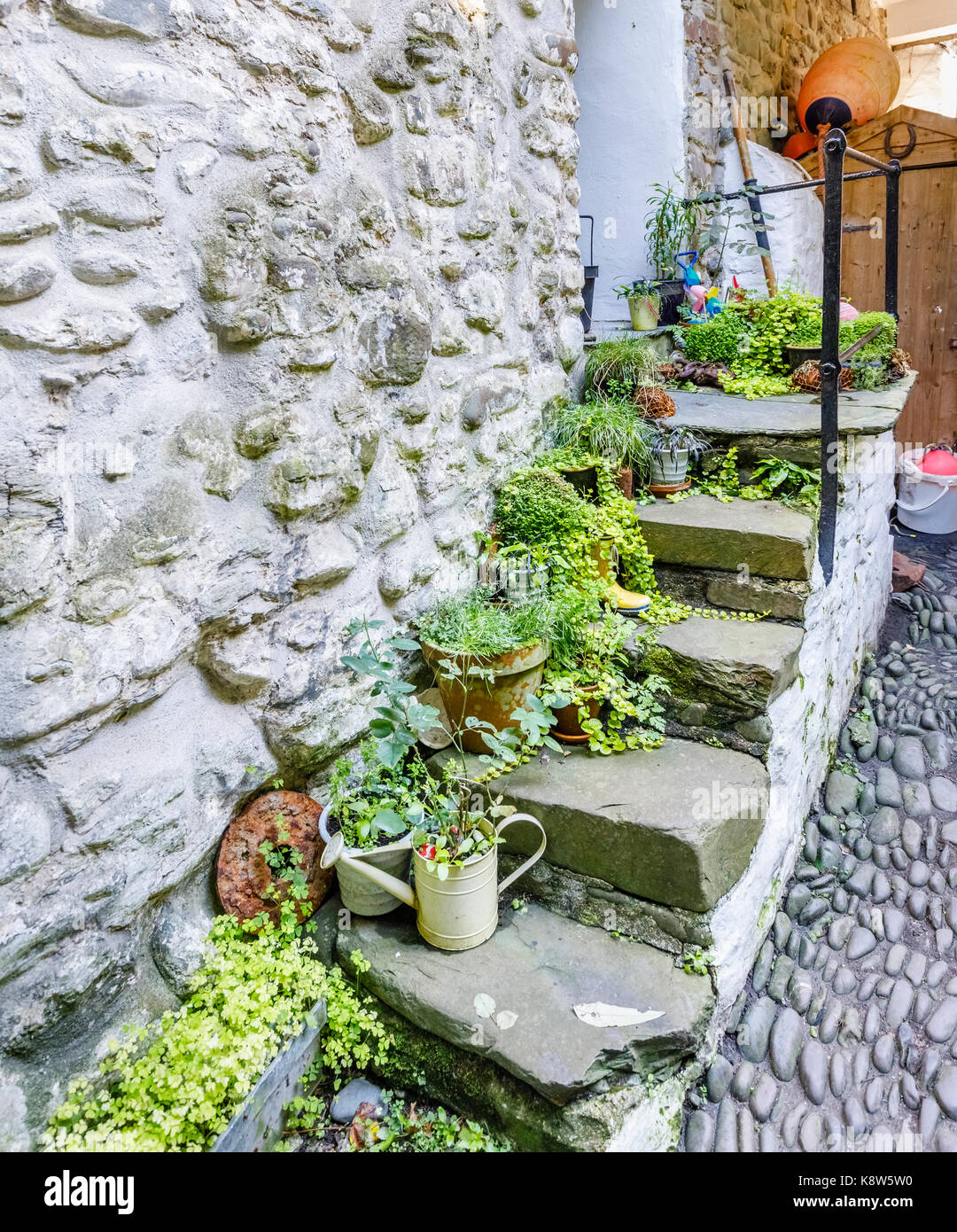 Stone steps outside a whitewashed cottage, Clovelly, a heritage village ...