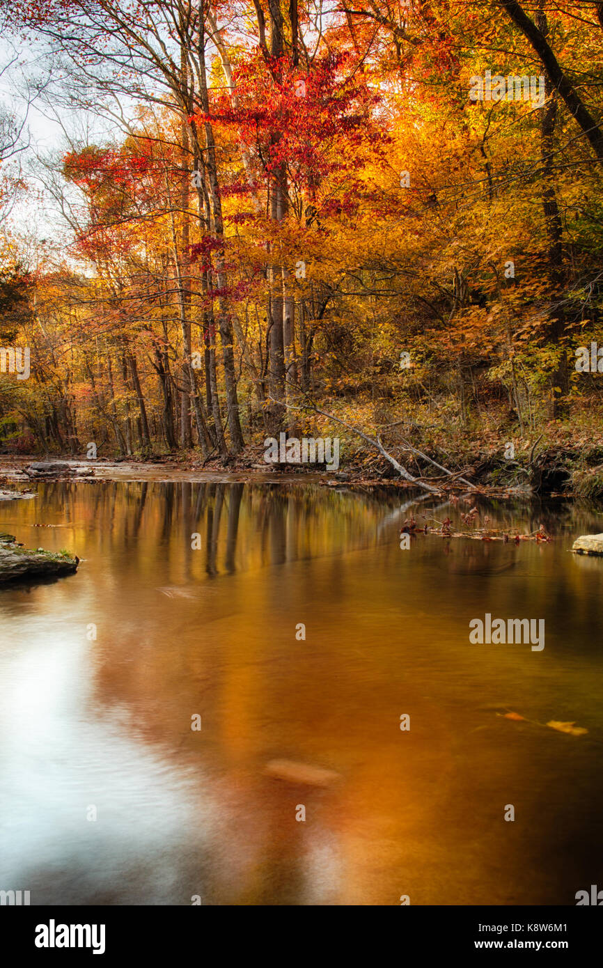 Vertical of a creek in middle Tennessee in the fall Stock Photo - Alamy