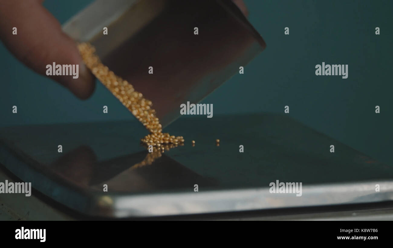 Gold granules. Gold granules. Gold and silver weighed in the balance ...