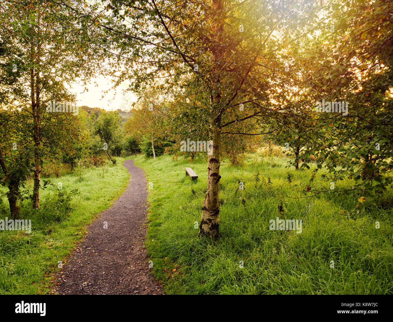 Early Autumn countryside morning,Northern Ireland Stock Photo - Alamy