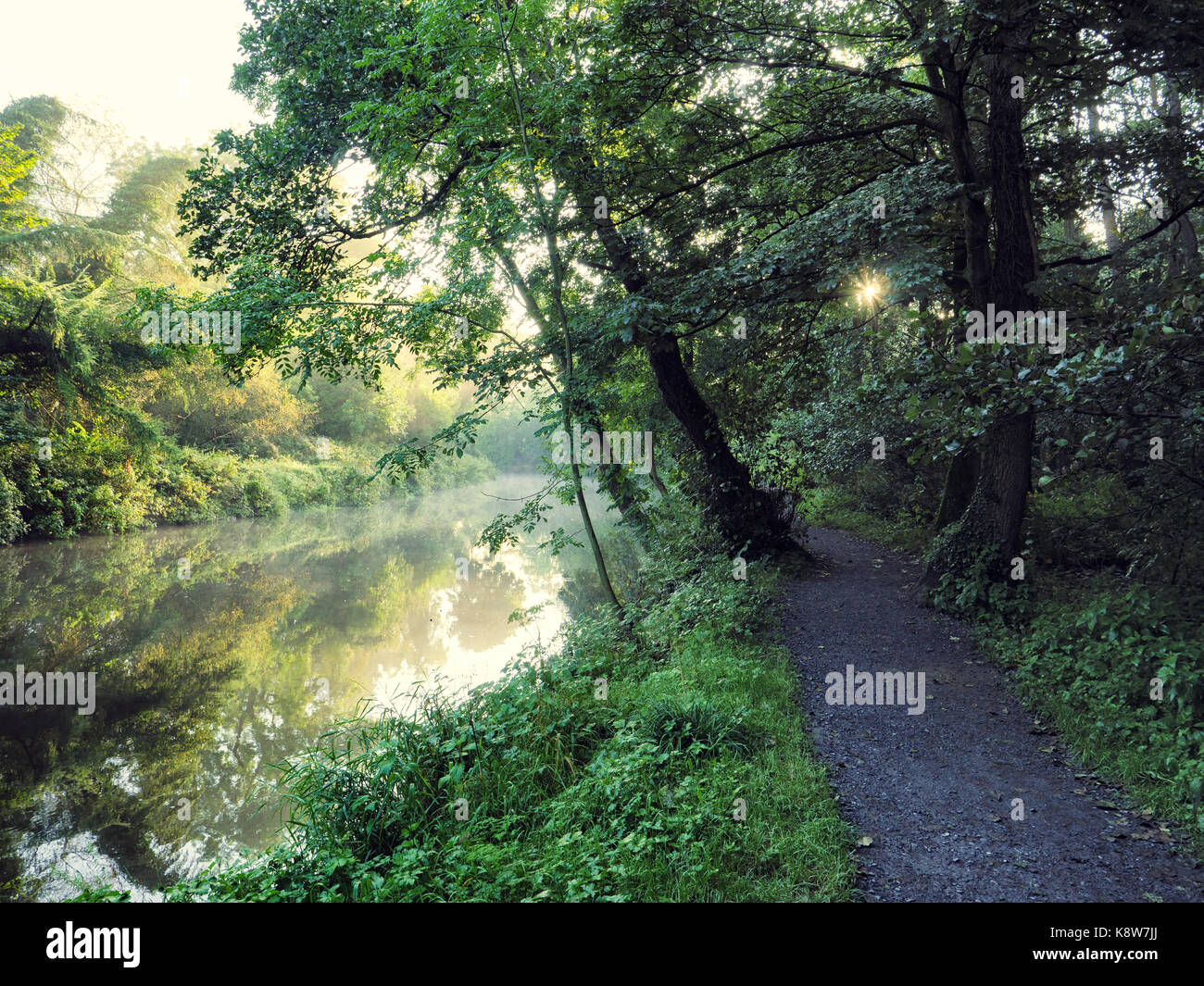 Early Autumn countryside morning,Northern Ireland Stock Photo - Alamy