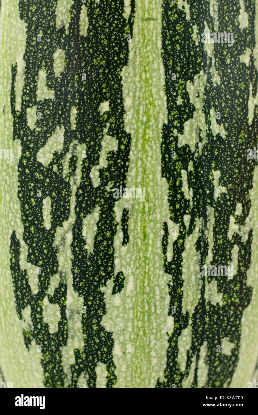 Green, yellow food background texture on Zucchini, Courgette Stock ...