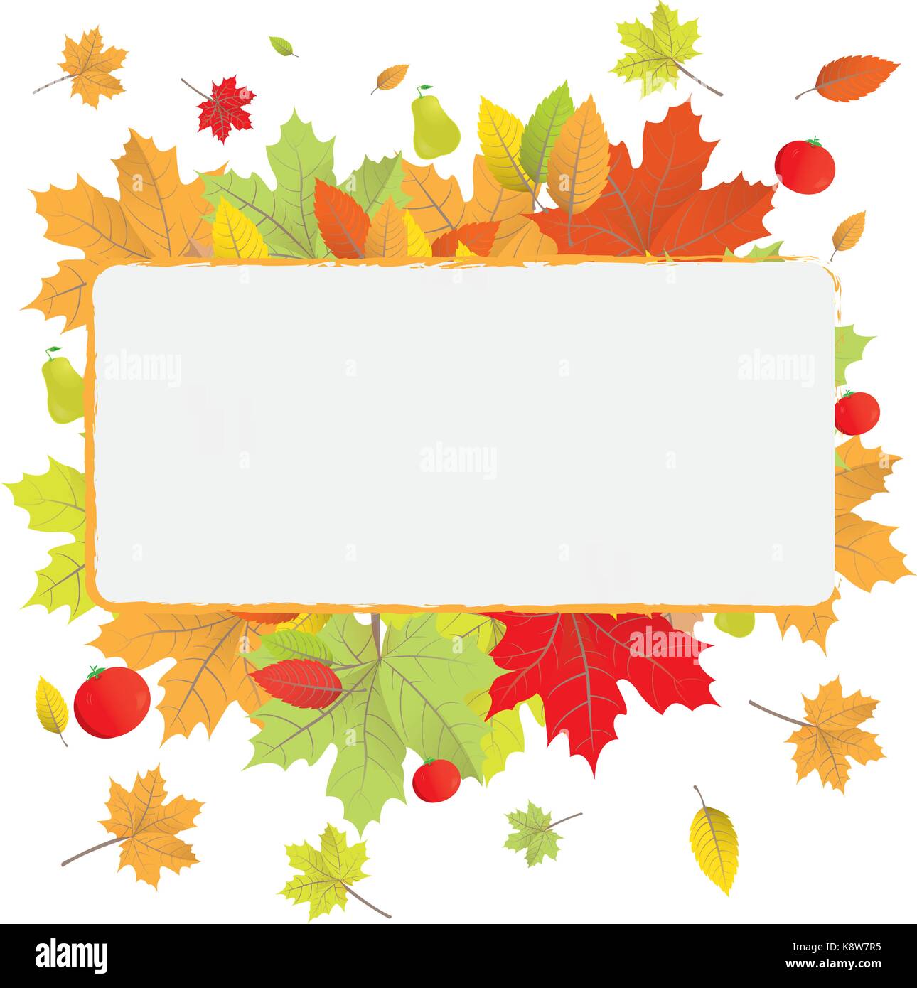 Isolated empty label Stock Vector Image & Art - Alamy