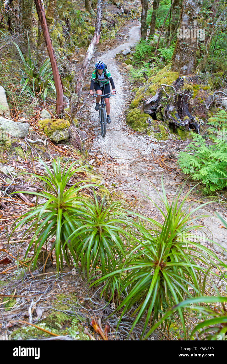 Mountain biking on the Old Ghost Road Stock Photo - Alamy