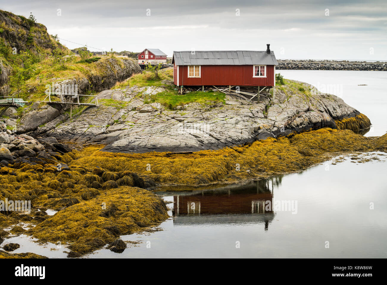 Rural house on the Lofoten Islands, Norway, Scandinavia, Europe Stock ...