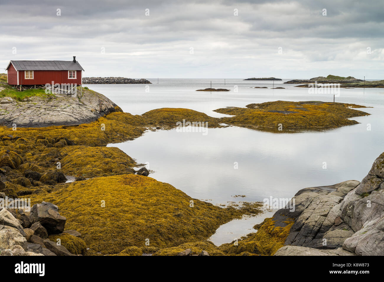 Rural house on the Lofoten Islands, Norway, Scandinavia, Europe Stock ...