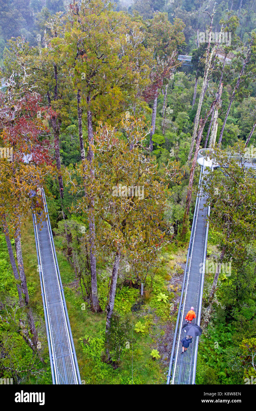 West Coast Treetop Walkway near Hokitika Stock Photo - Alamy