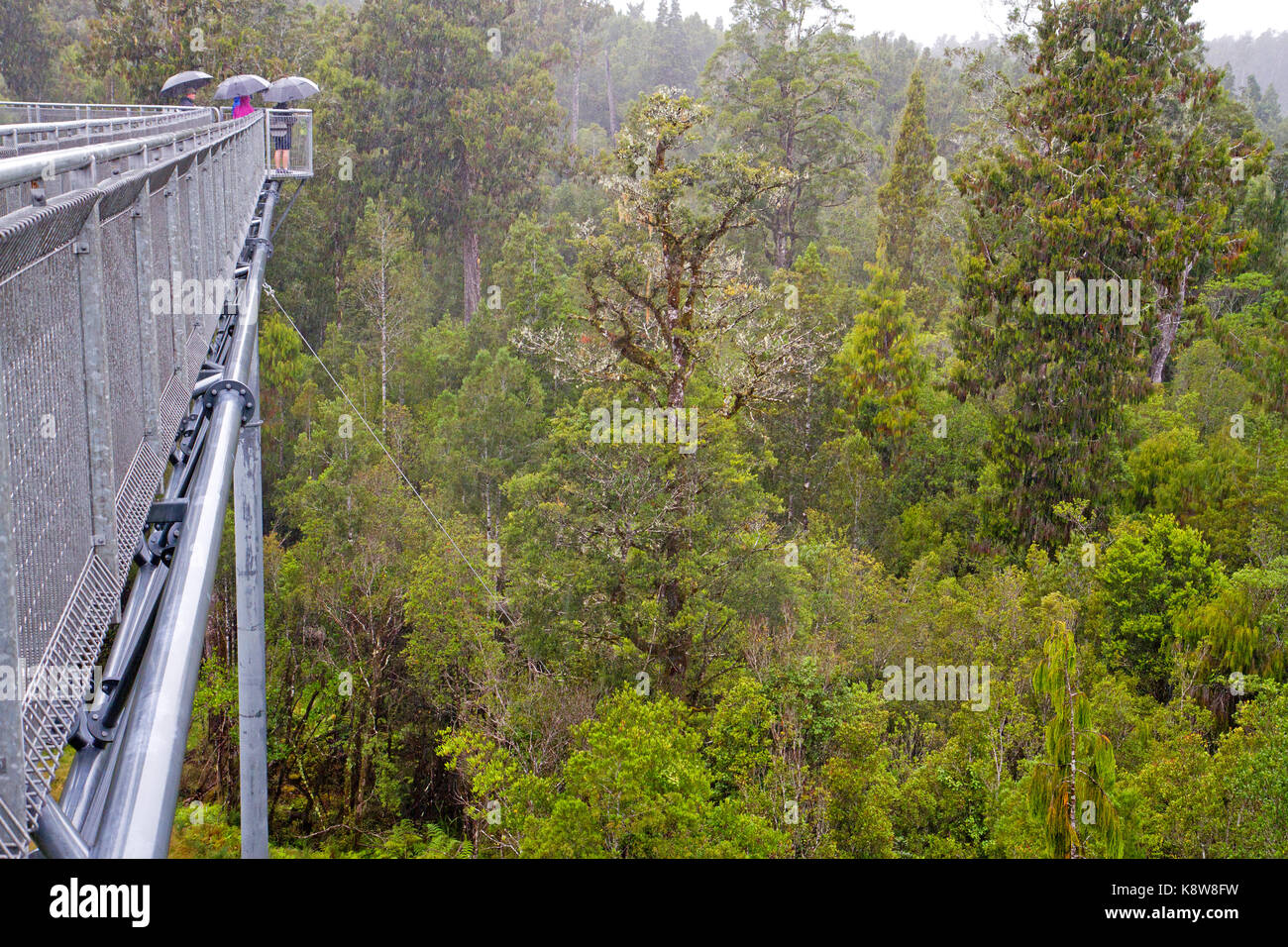West Coast Treetop Walkway near Hokitika Stock Photo - Alamy
