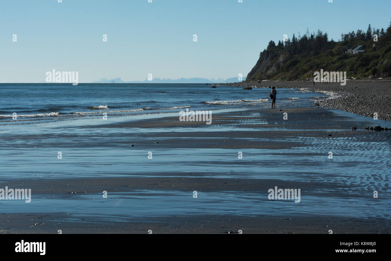 People stroll along Bishop's Beach, Homer, Alaska, USA, at low tide ...