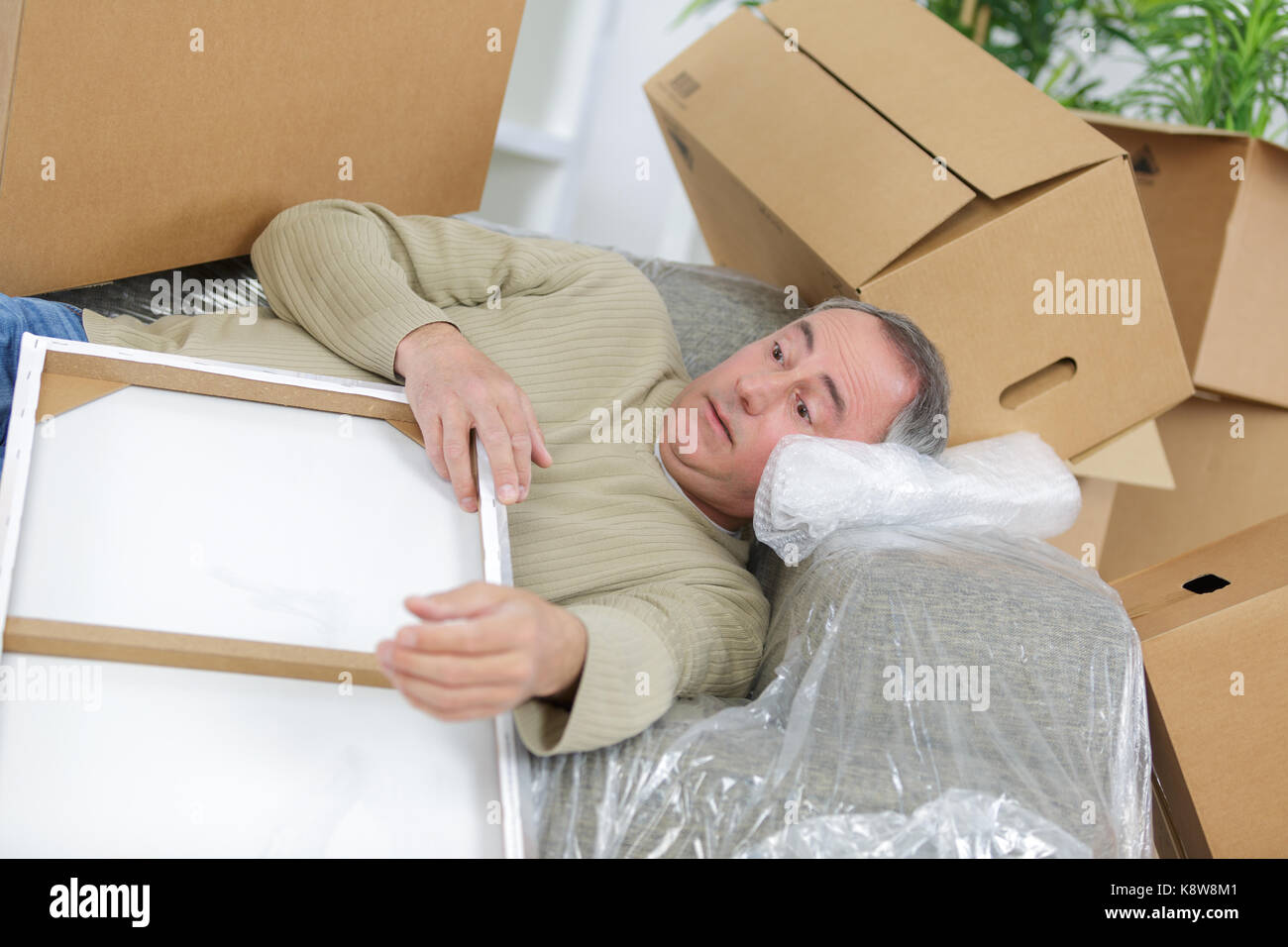 man moving house Stock Photo - Alamy