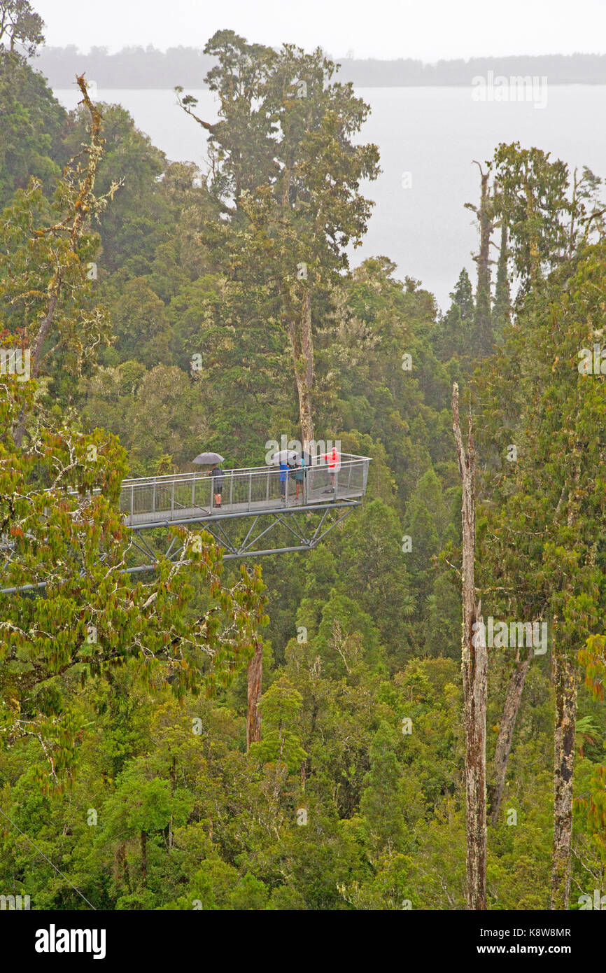 Treetop walkway hi-res stock photography and images - Alamy