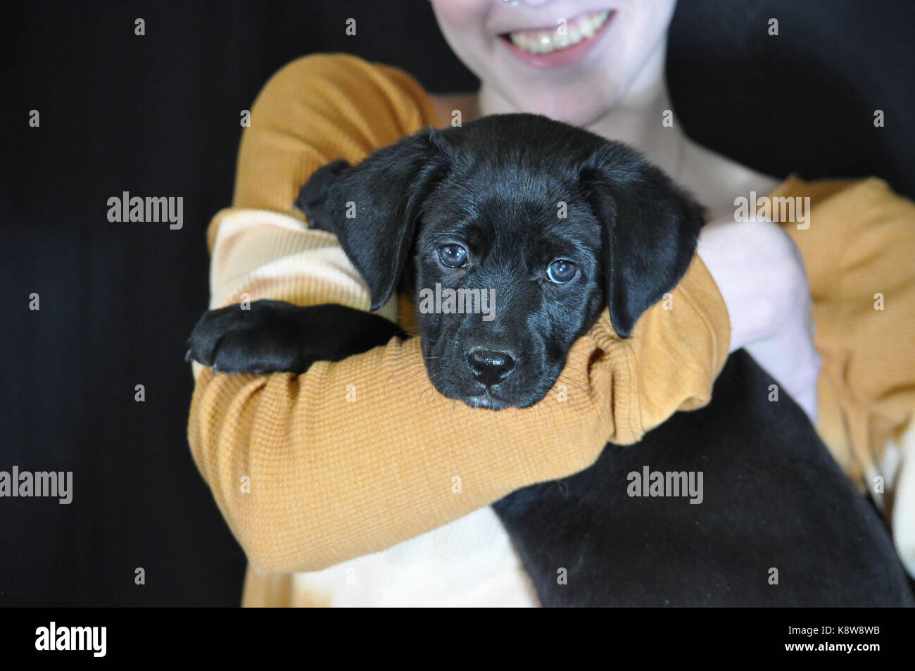 puppy dog eyes Stock Photo - Alamy
