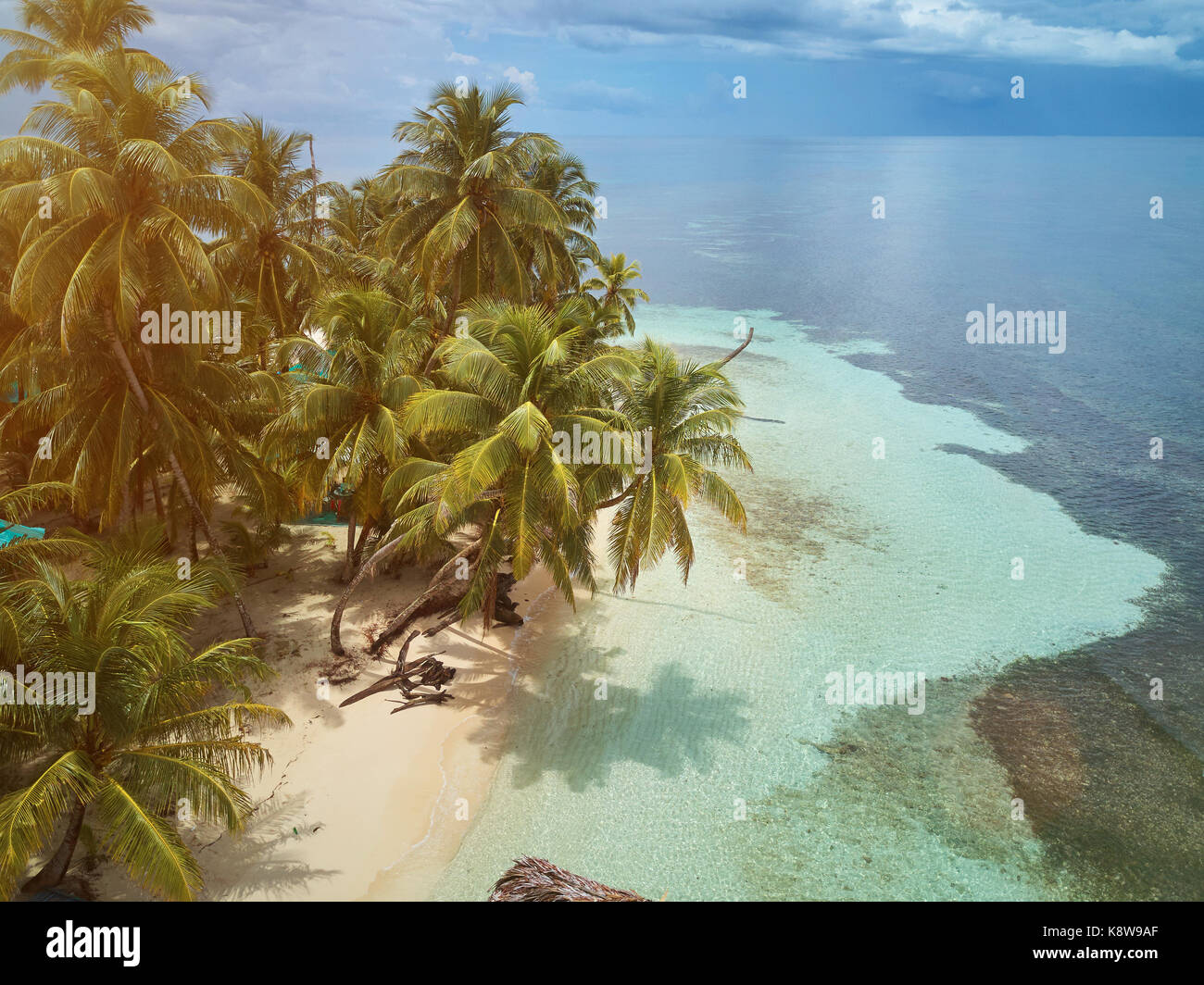Beach of small island with palms aerial above view Stock Photo - Alamy