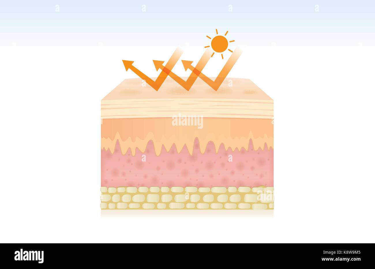 Uv absorption hi-res stock photography and images - Alamy