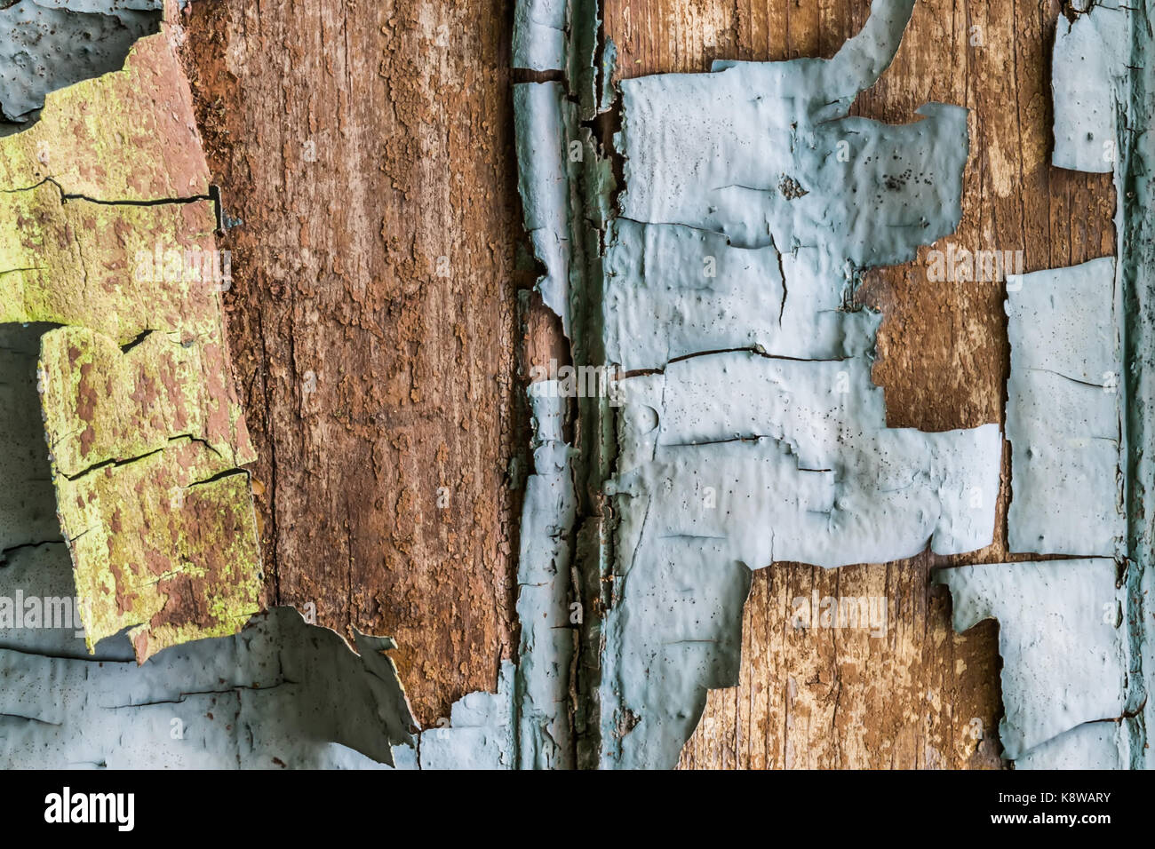 Rustic wood texture with natural patterns surface as background Stock ...