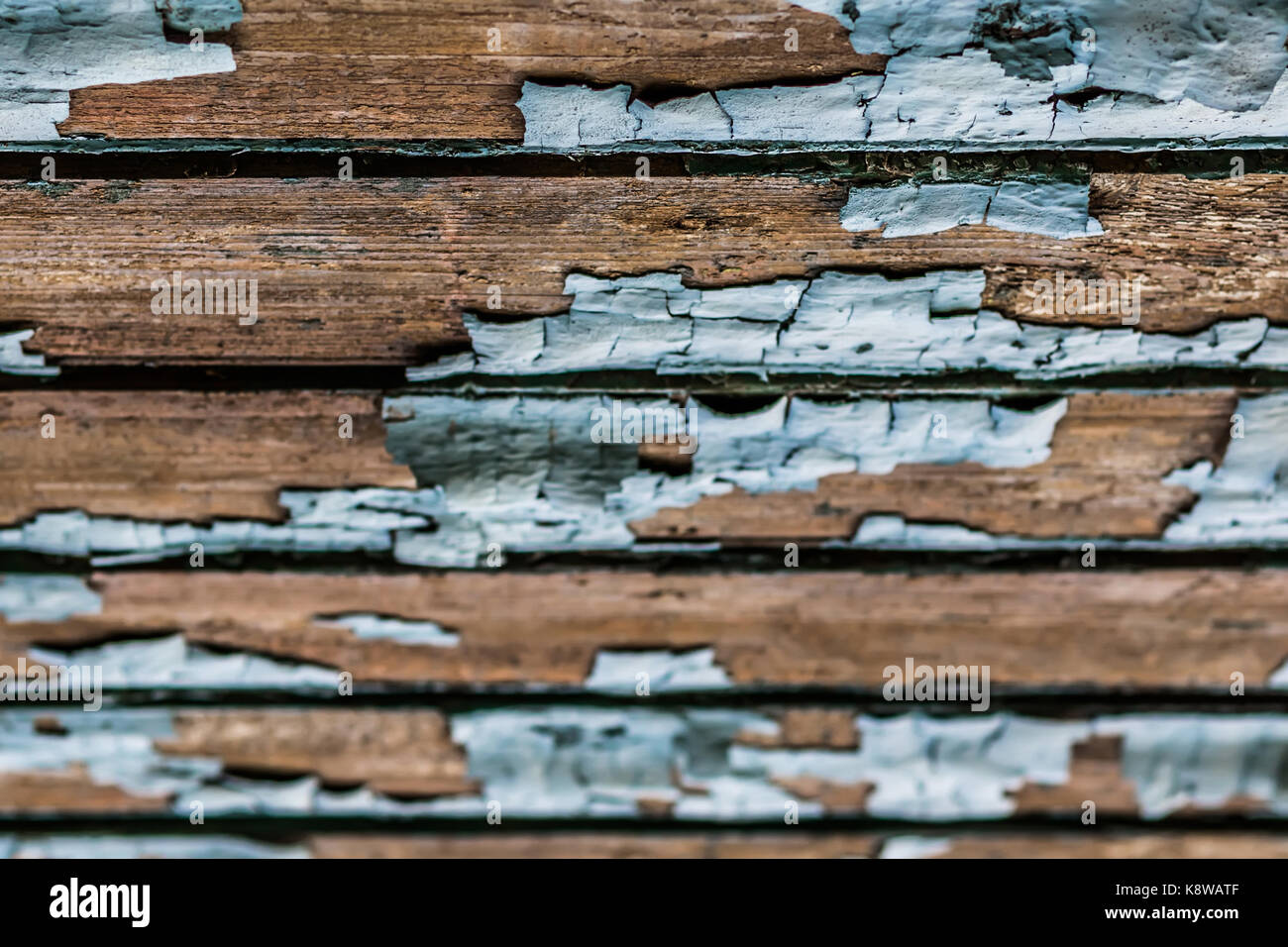 Rustic wood texture with natural patterns surface as background Stock ...